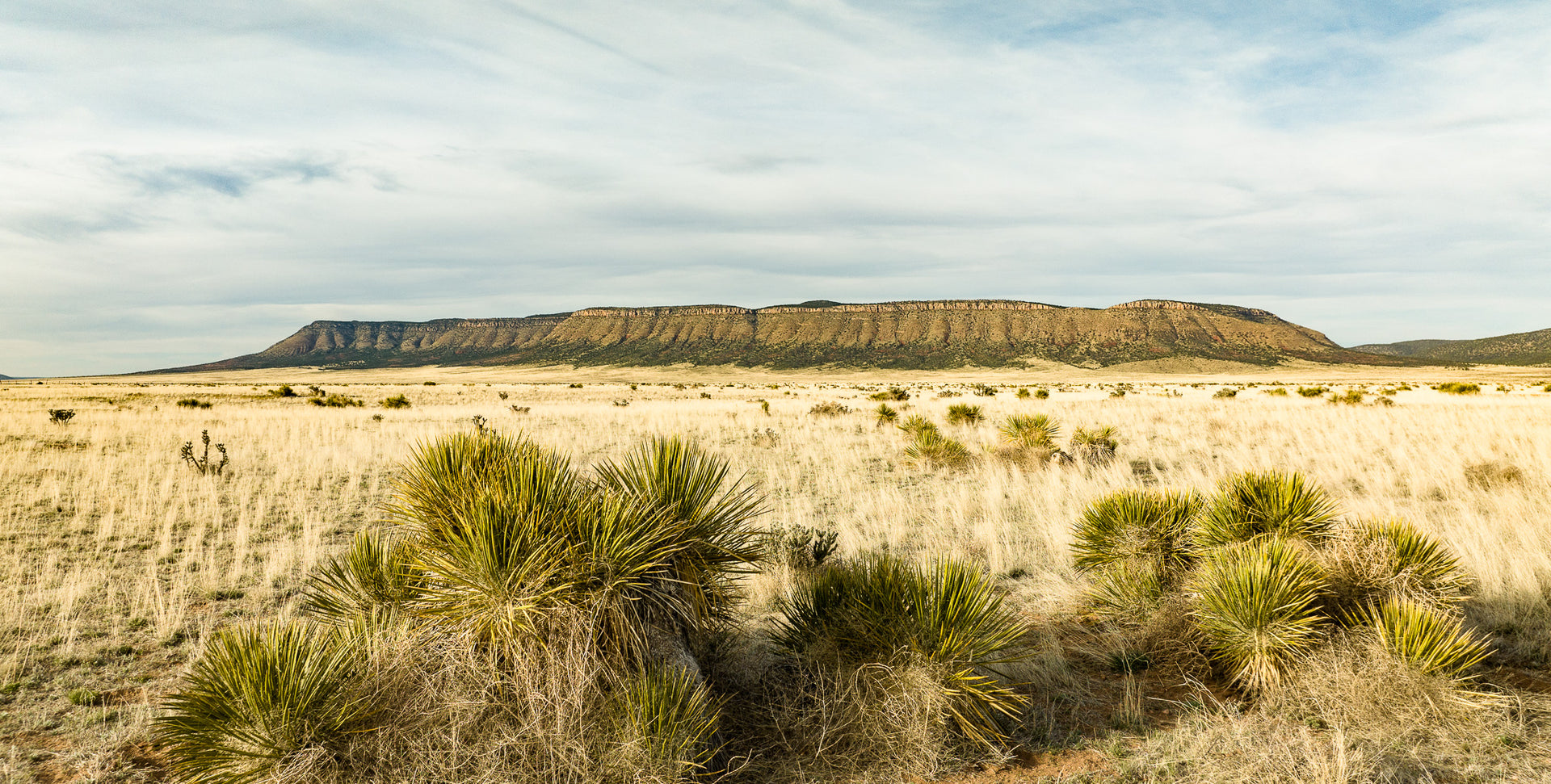Contact – Hunt Big Bo Ranch