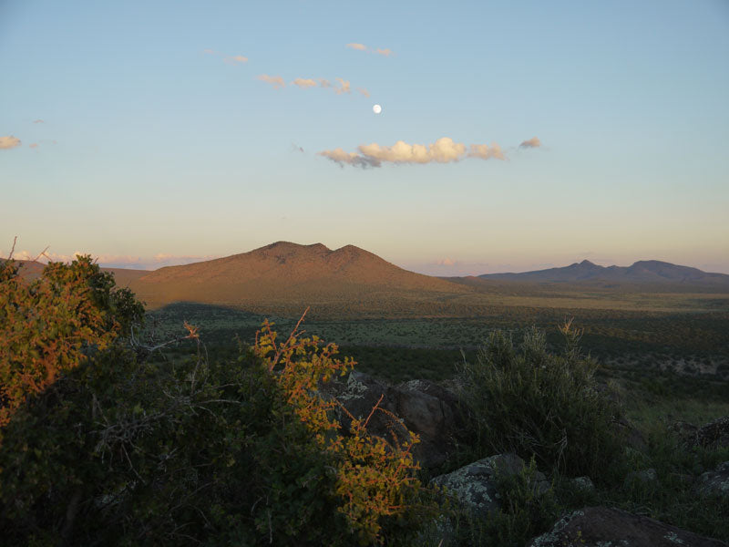 Big Bo Access Program – Hunt Big Bo Ranch